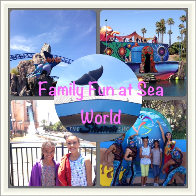 Family Fun at Sea World – An Unstoppable Journey